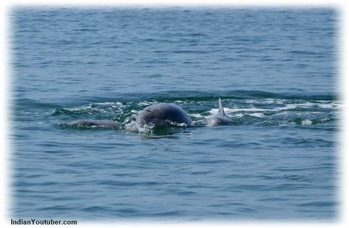 Devbagh Beach Resort REVIEW – Jungle Lodges and Resorts (Karnataka ...