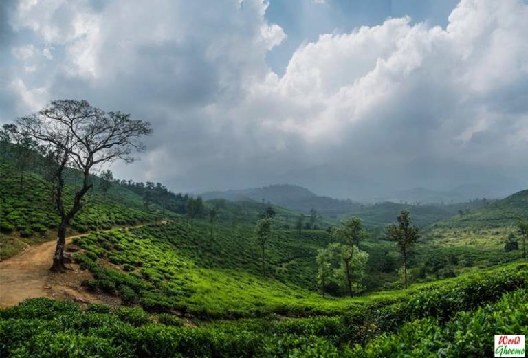 Wayanad Travel Guide | How to Explore Wayanad in 2 Days — World Ghoomo